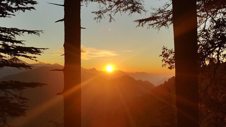 Landour travel guide: how to experience it slowly, deeply
