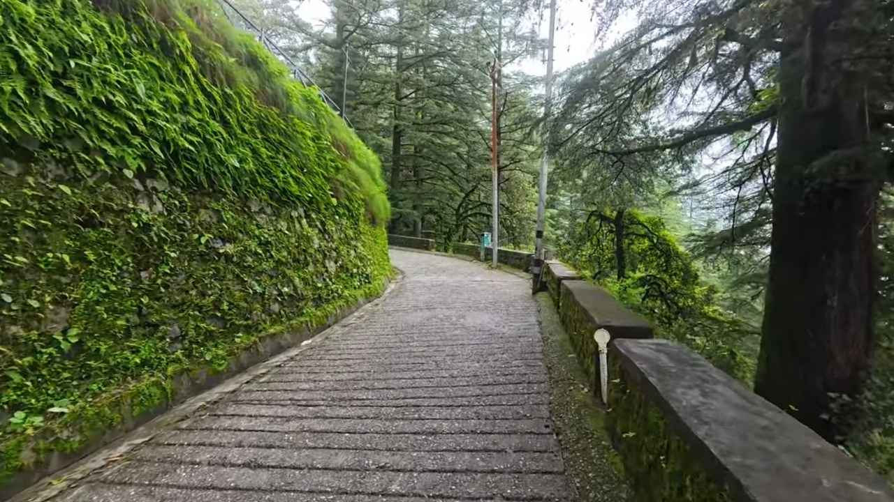 Landour travel guide: how to experience it slowly, deeply